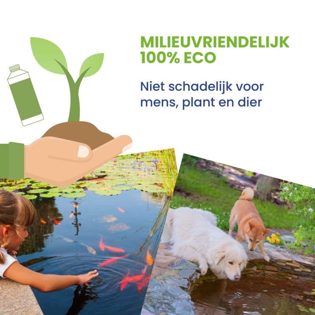 Vijverbacteriën kopen? Nitrificerende bacteriën voor in de vijver