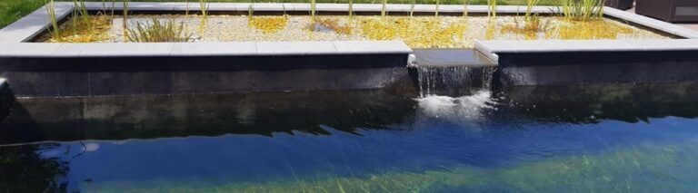 Plantenfilter vijver maken en beplanting advies - vdvelde.com