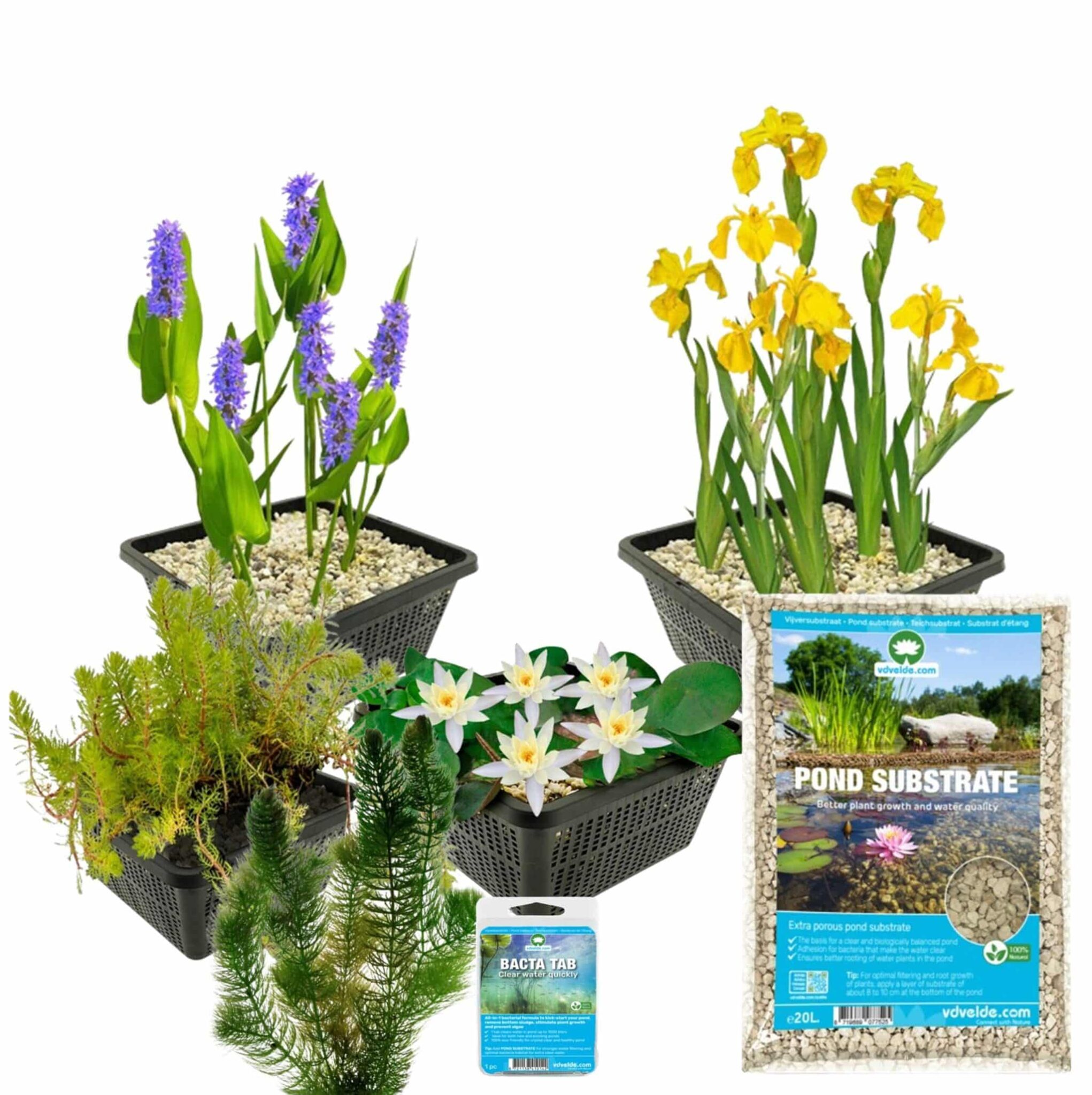 Vijverpakket Wit 100-400L - vdvelde.com