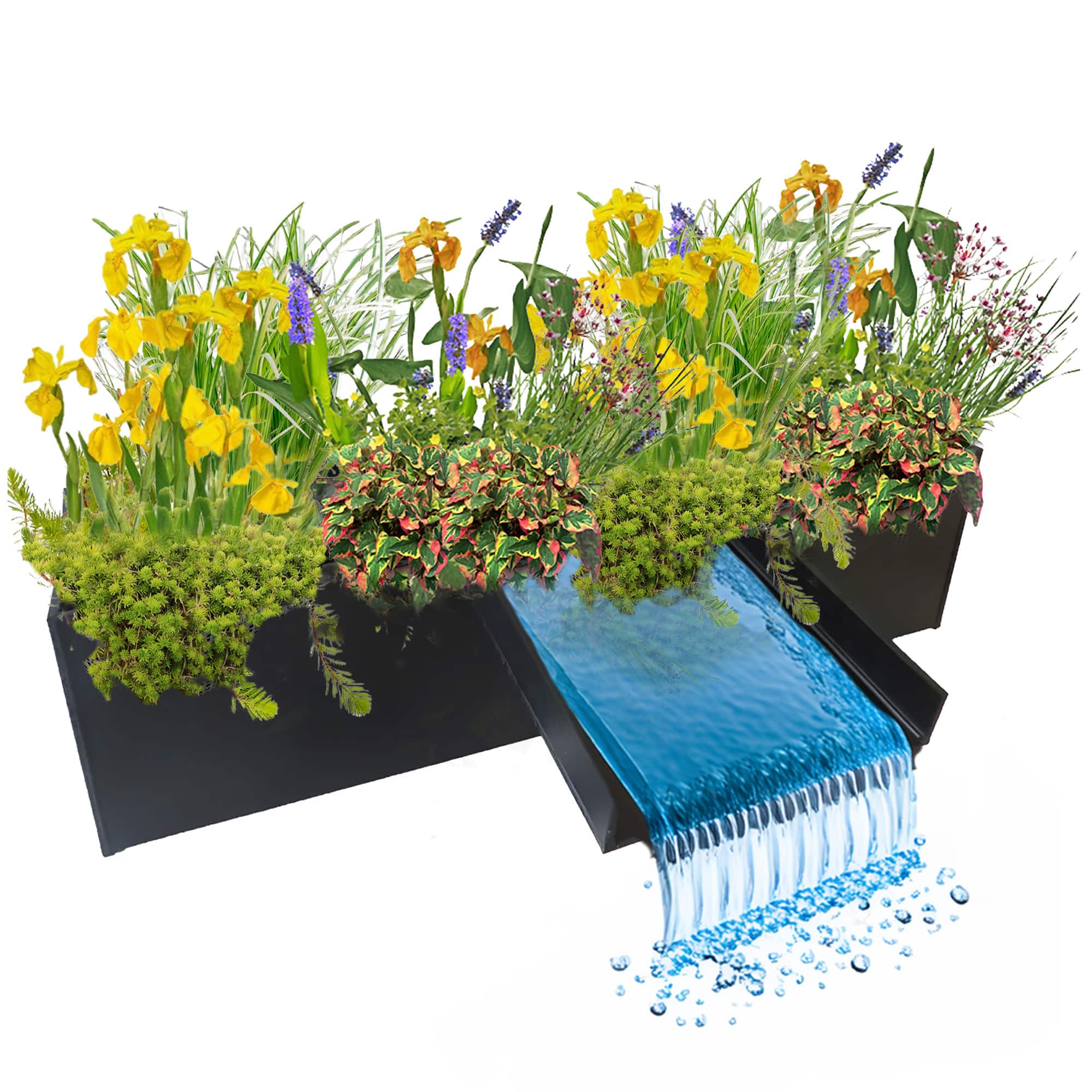 Pflanzenfilter mit Wasserfall 100 cm - vdvelde.com