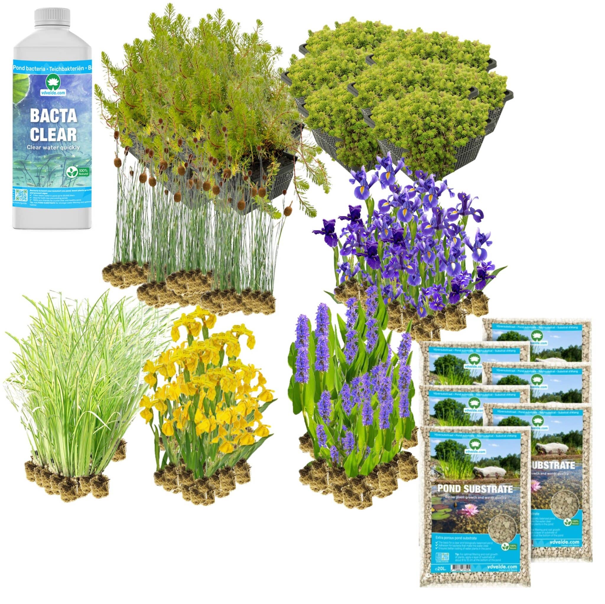 Ensemble complet de filtres pour plantes - XXL - 16 - 24 m² - vdvelde.com