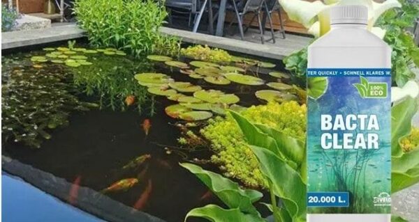 Plantenfilter vijver maken en beplanting advies - vdvelde.com