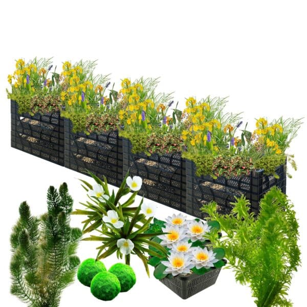 Biofilter with 4 towers + oxygenating plants and Water lilies vdvelde.com