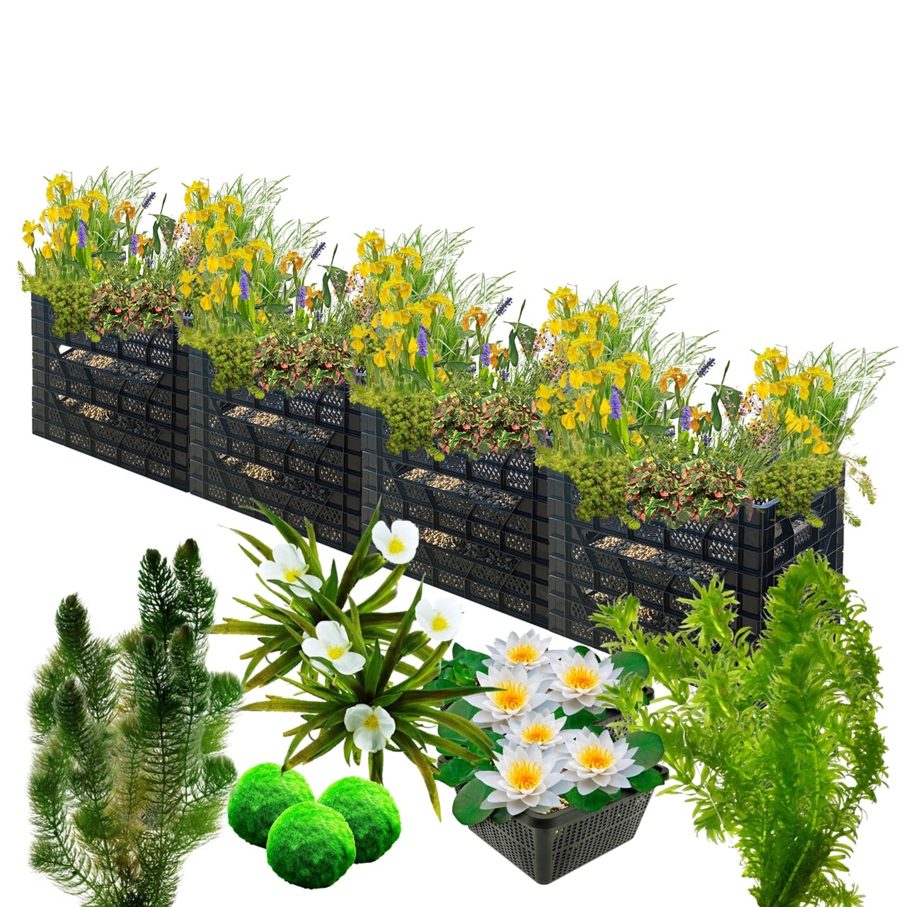Biofilter 4 torens + Zuurstofplanten en Waterlelies - vdvelde.com