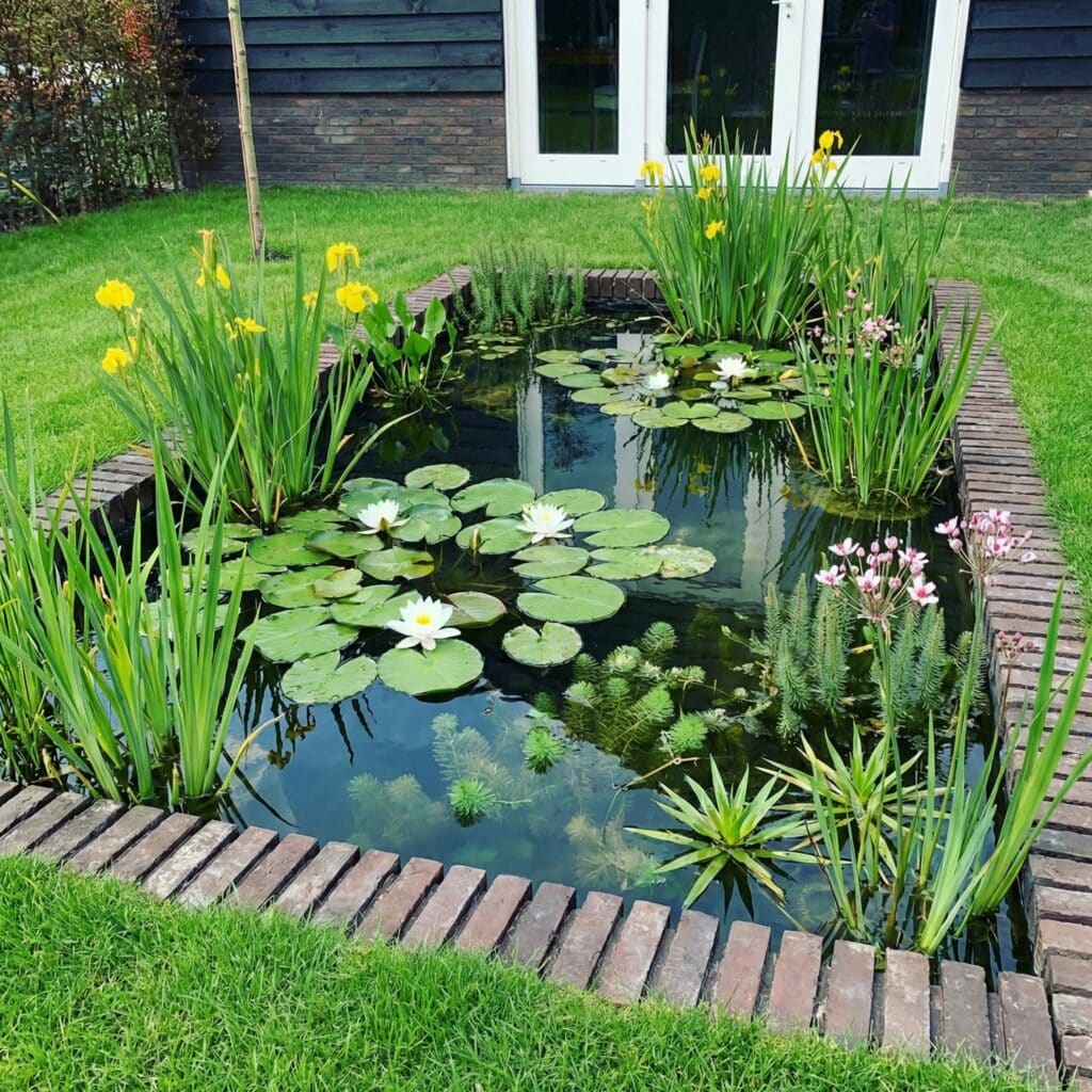 Complete Native Pond Kit 500–1,250 L - vdvelde.com